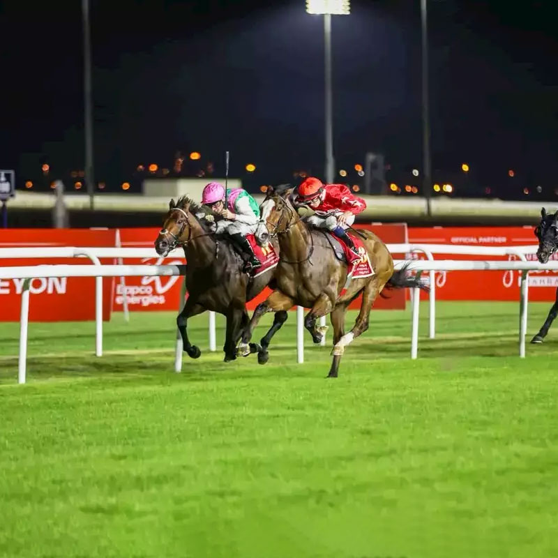 Bahrain International Trophy 2025 | Elite Horse Racing Event - Bahrain ...