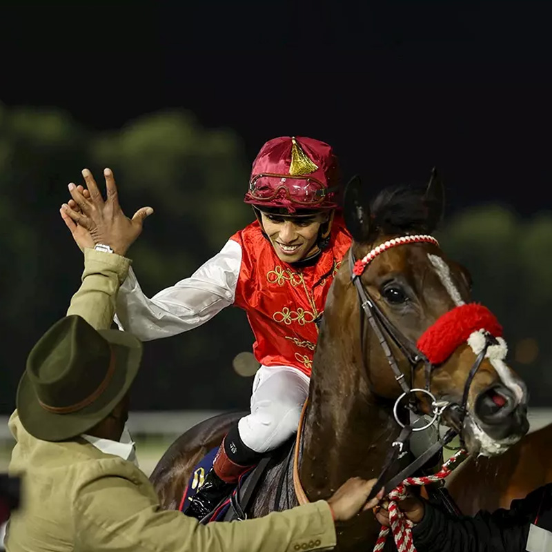 Crown Prince's Cup Festival 2026 Bahrain Horse Racing - Bahrain This Month